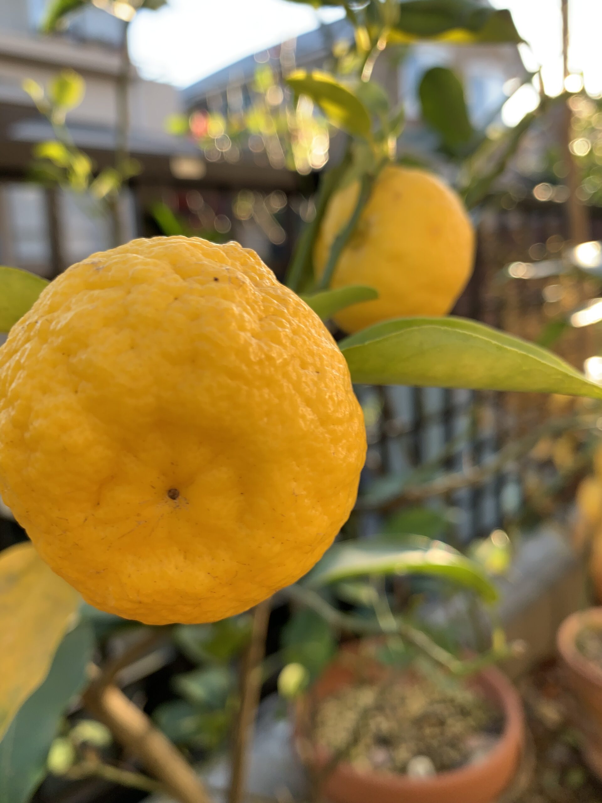 Japan PINT Invoice UBL Example.xmlをHTML変換表示 – 三分一技術士事務所