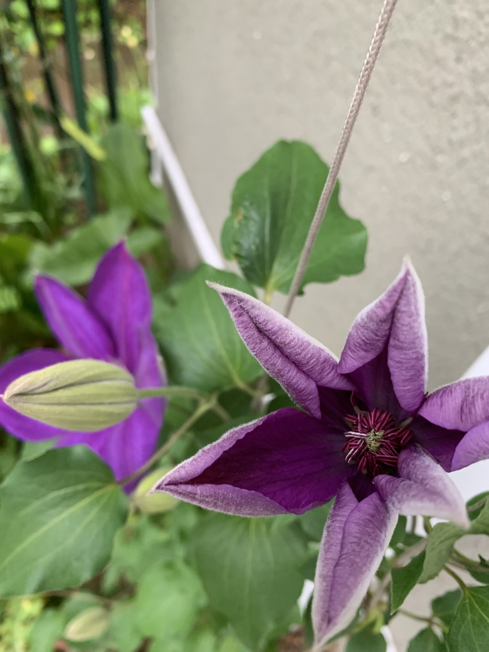 ChatGPTの提案を参考にXBRL-CSVのメタデータJSONファイルを作成（Java json-simple) – 三分一技術士事務所