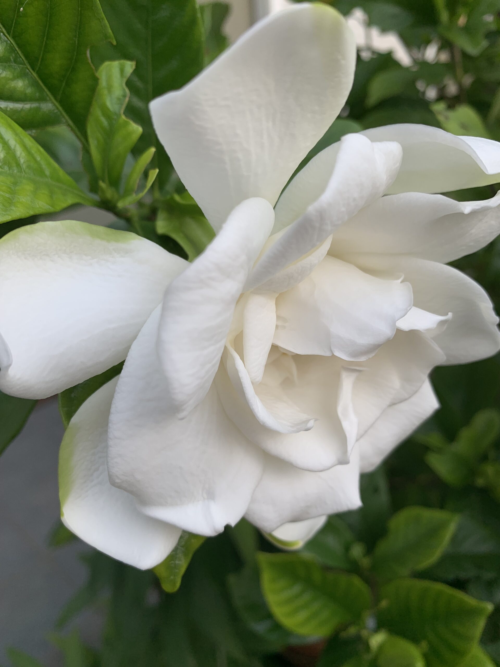 Study report Part 2 Semantic model definition using ISO/IEC 19505 OMG ...