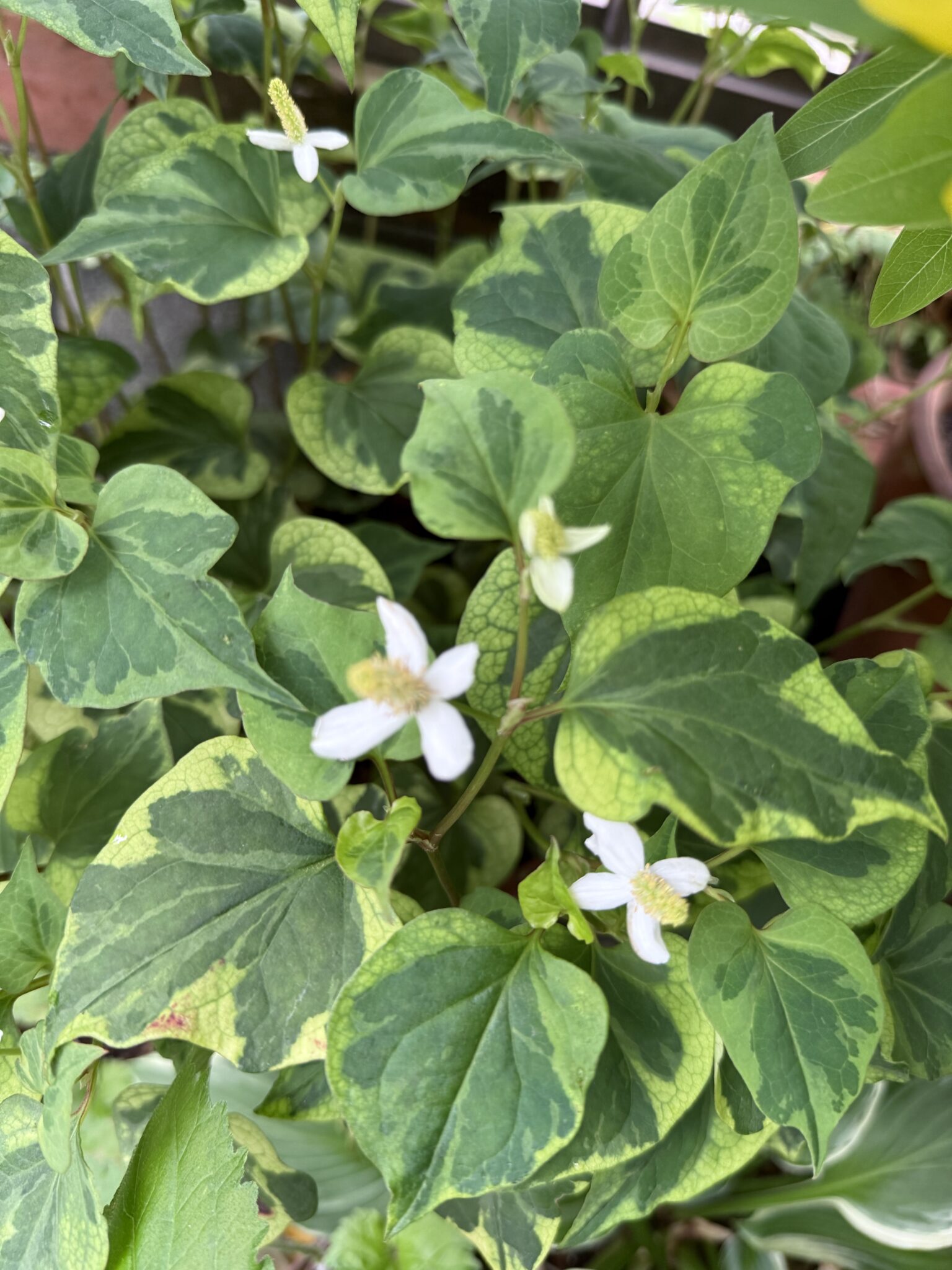 三分一技術士事務所 – SAMBUICHI Professional Engineer's Office